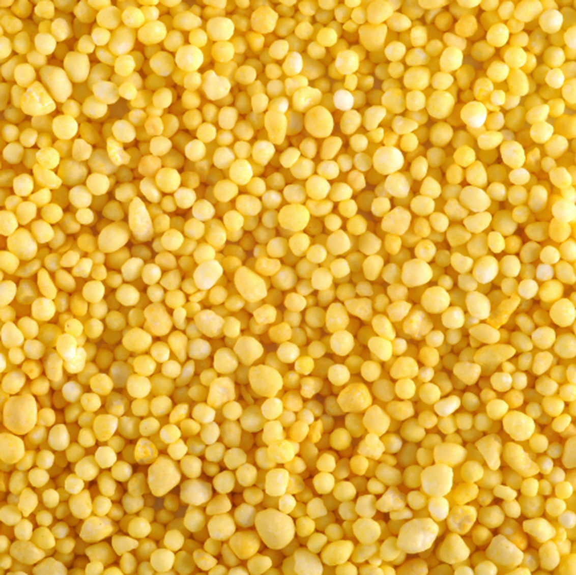 PRODUSE – CICH
